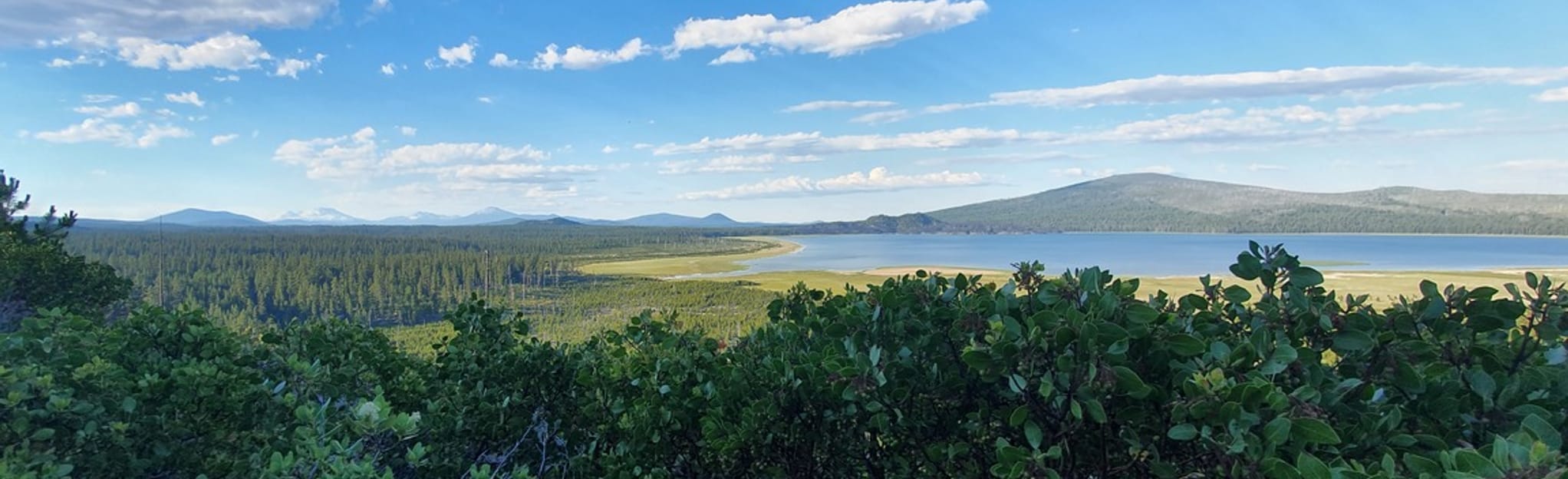 Ranger Butte Trail, Oregon - 3 Reviews, Map | AllTrails