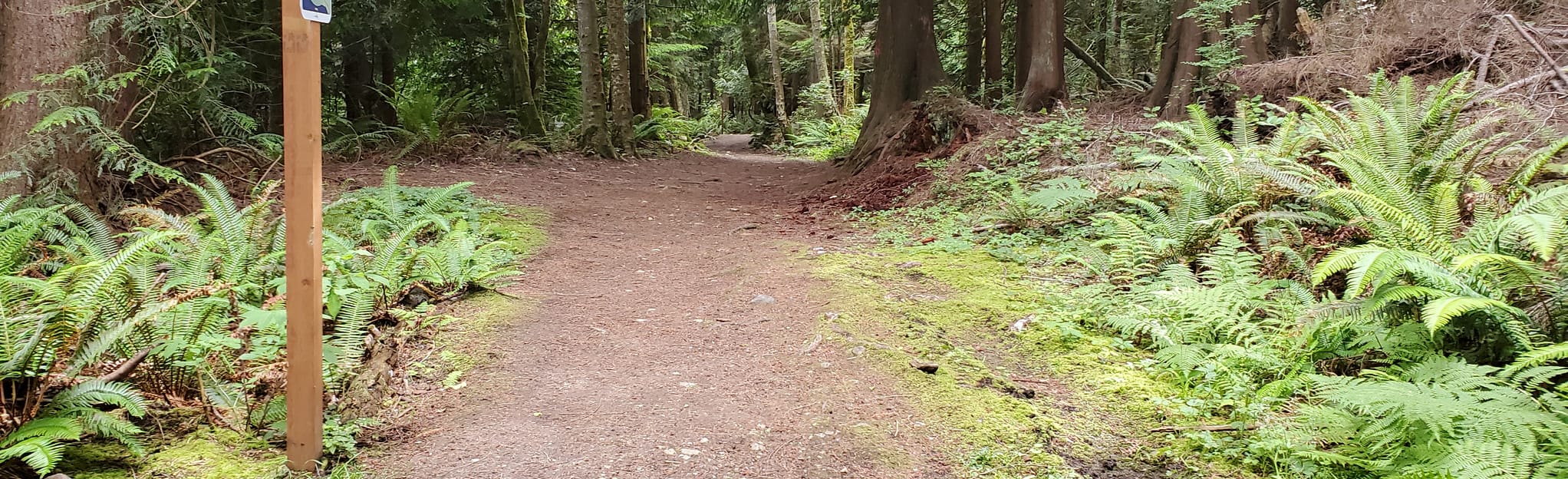 Willingdon Beach - McGuffie Creek - Willingdon Creek, British Columbia ...