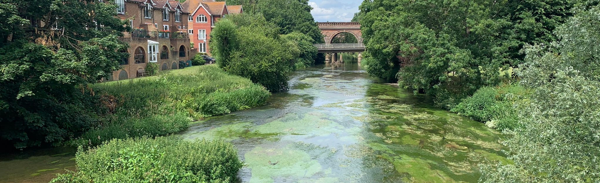 Leatherhead and Mickleham Circular, Surrey, England - 47 Reviews, Map ...