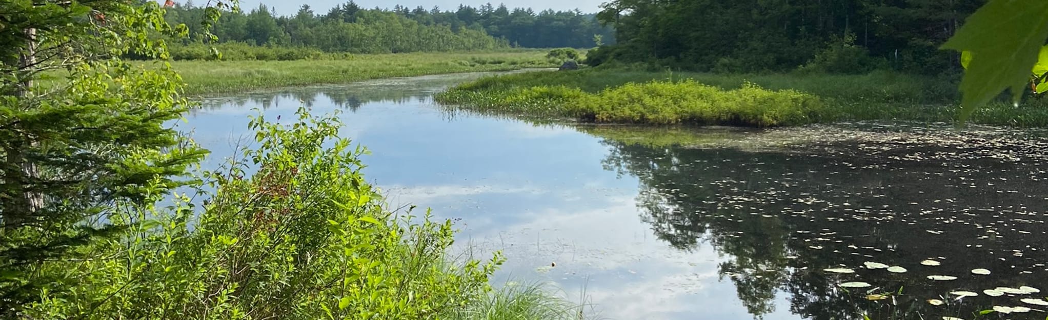 Meadow Brook Preserve Trail, Maine - 16 Reviews, Map | AllTrails