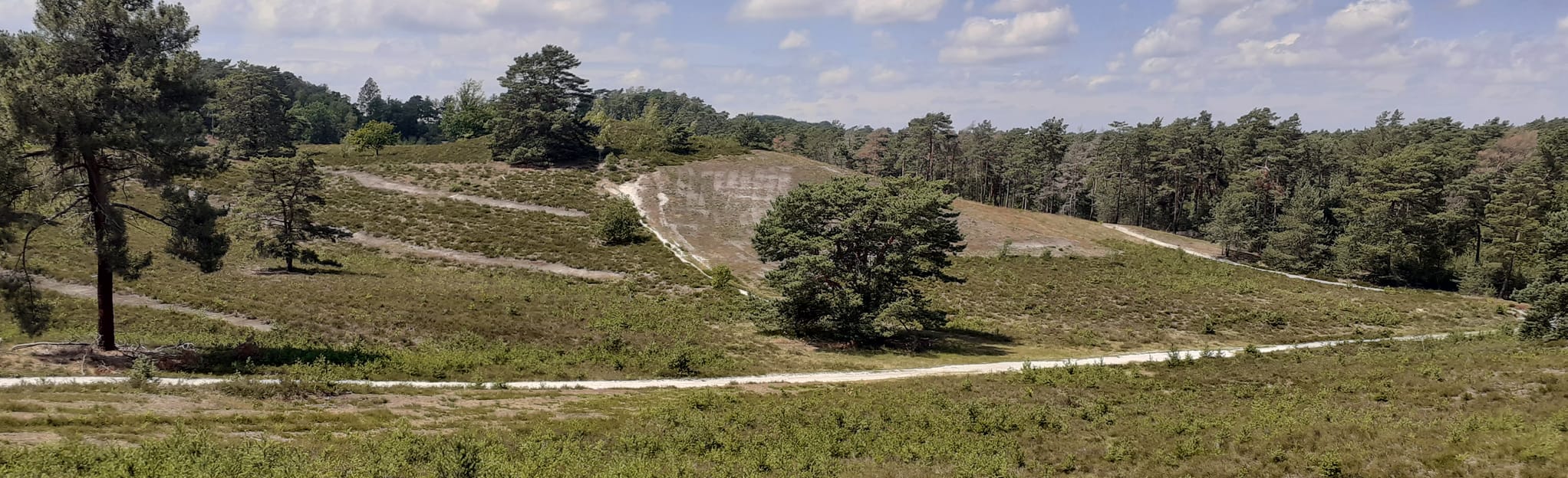 Brunssummerheide Light Green Trail: 23 Reviews, Map - Limburg ...