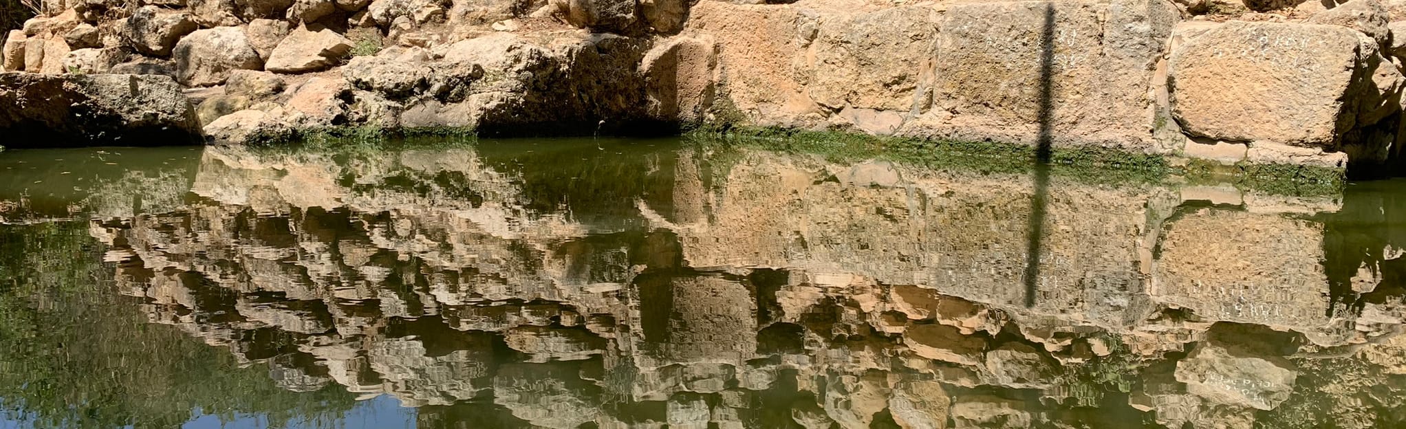 Horbat Saadim to Ein Tamar: 16 foto's - Jerusalem, Israël | AllTrails