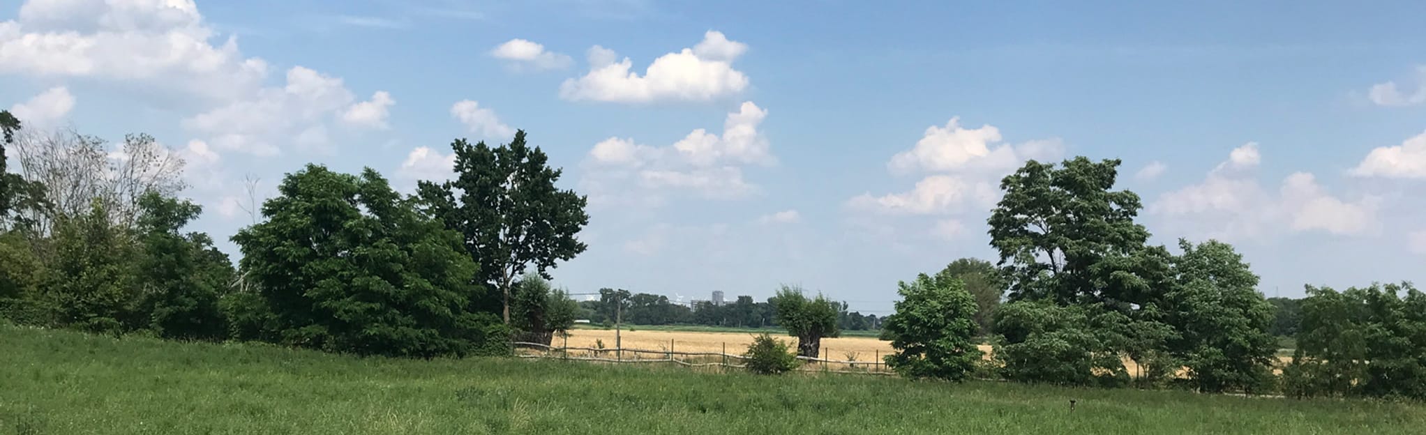 Werder Panorama Path - Havel Cycle Path, Brandenburg, Germany - 8 ...