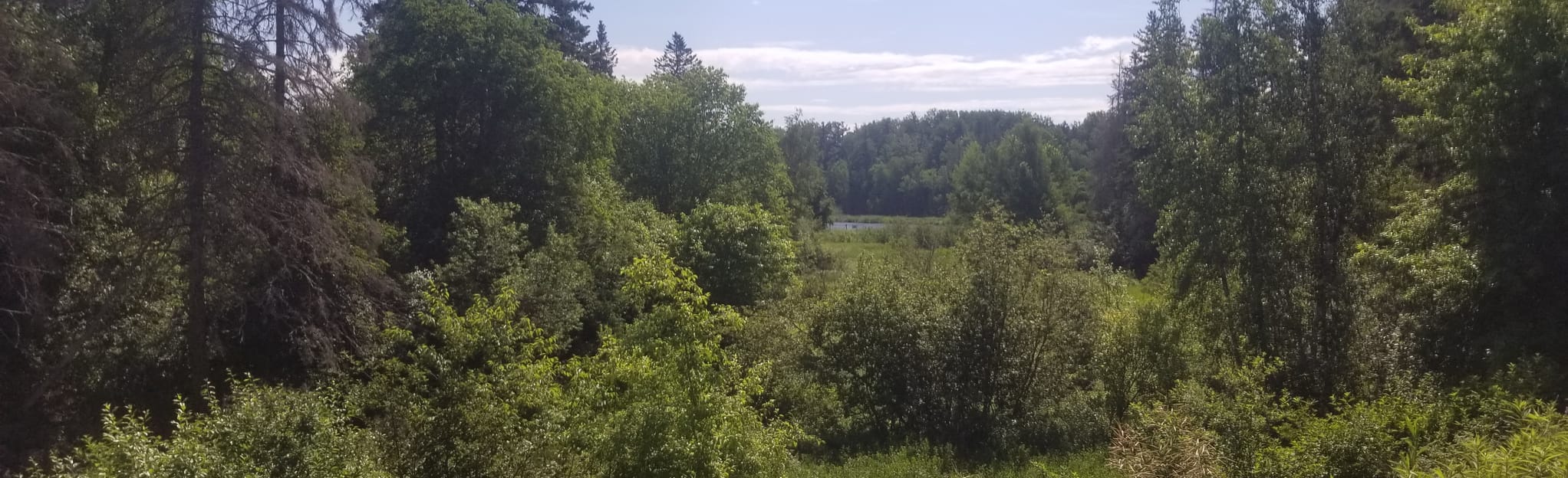 Salisbury to Hillsborough Trail: 4 Reviews, Map - New Brunswick, Canada ...