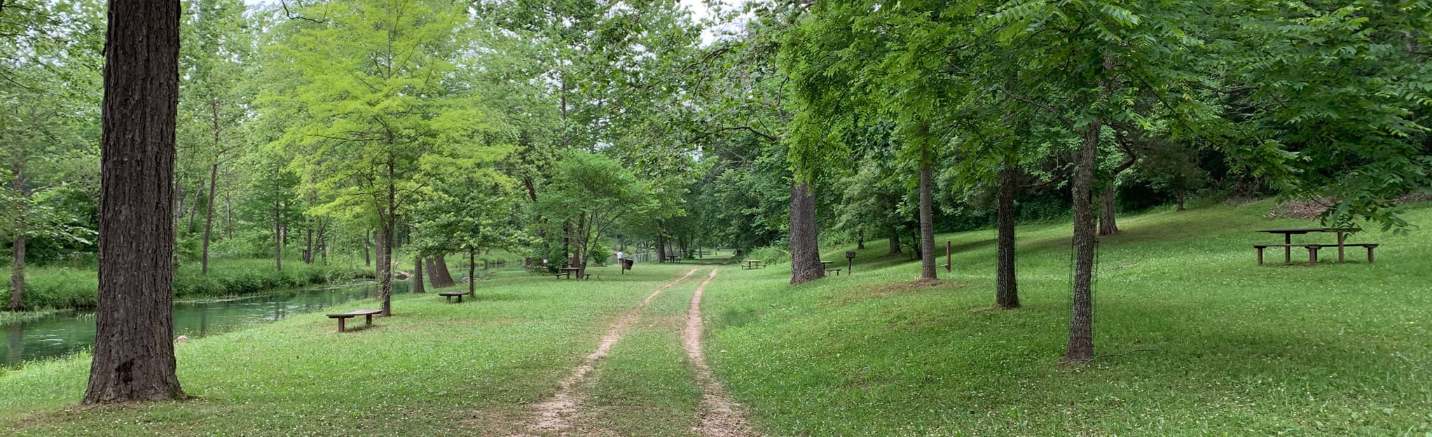 Stone Mill Spring, Missouri - 42 Reviews, Map | AllTrails