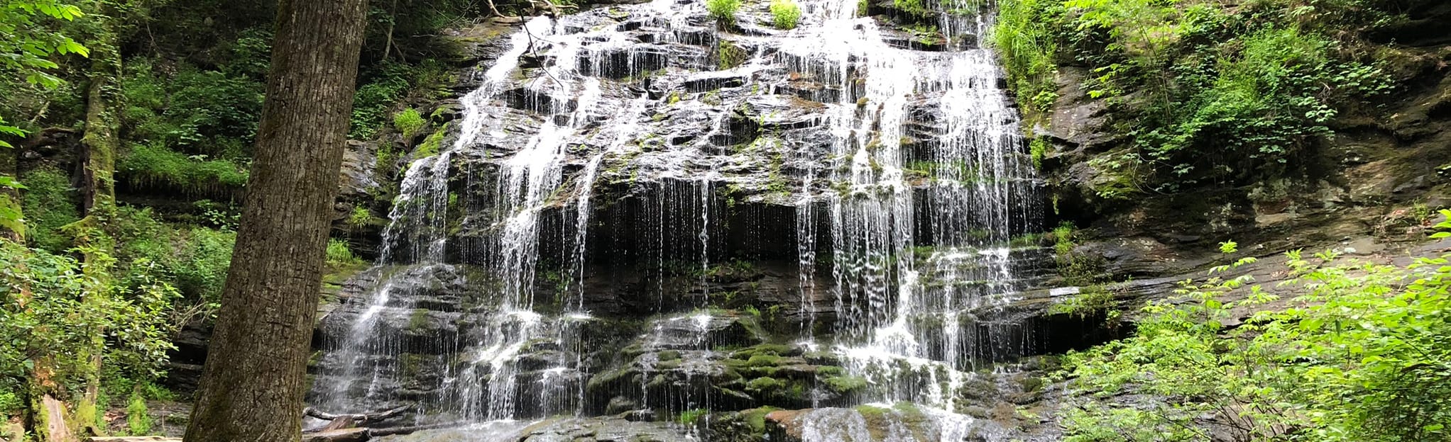 Palmetto Trail to Tamassee Knob: 81 Reviews, Map - South Carolina ...