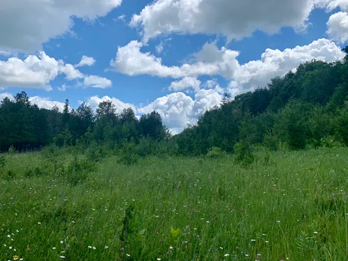 Best Hikes and Trails in Mystery Valley Karst Preserve | AllTrails