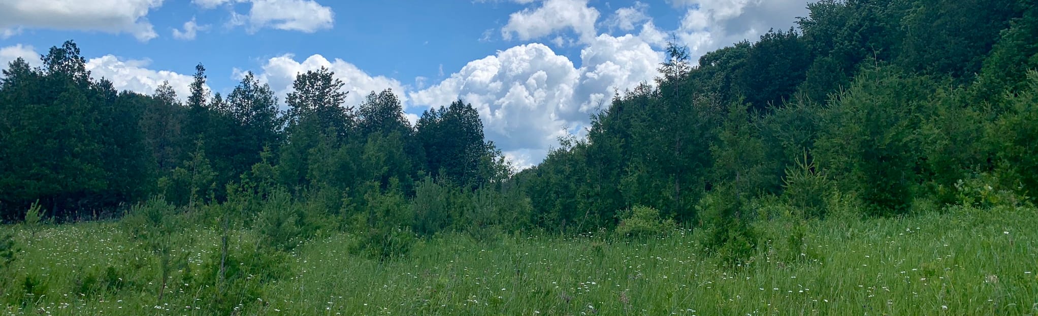 Mystery Valley Trail, Michigan - 29 Reviews, Map | AllTrails