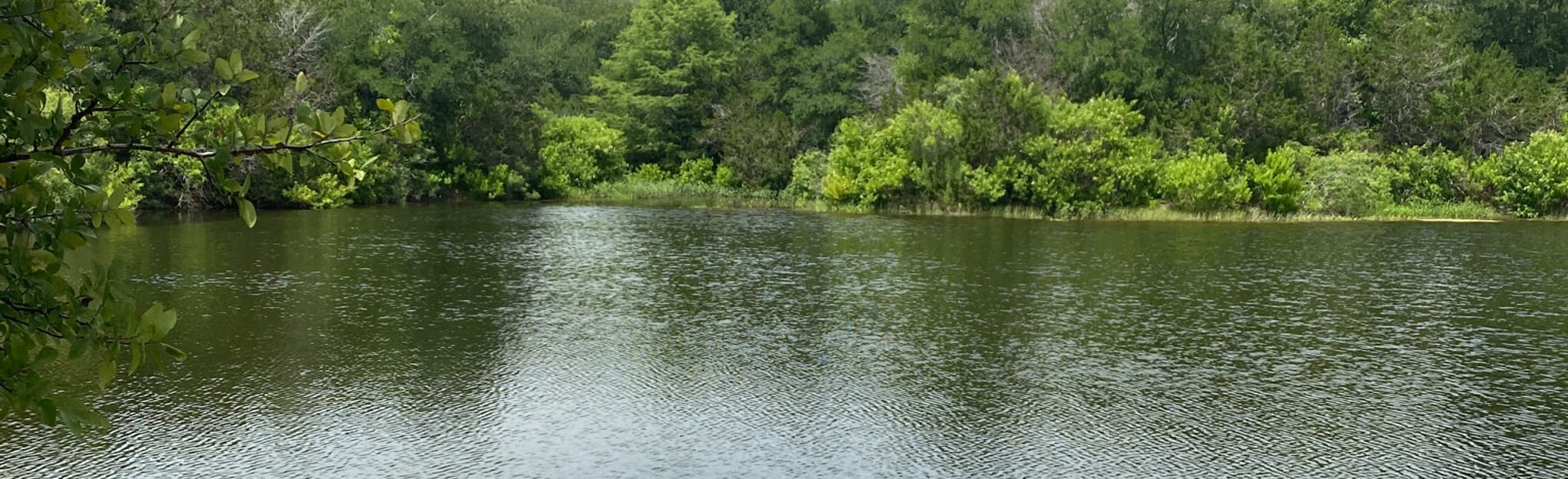 Southeast Metropolitan Park Primitive Trail: 299 Reviews, Map - Texas ...