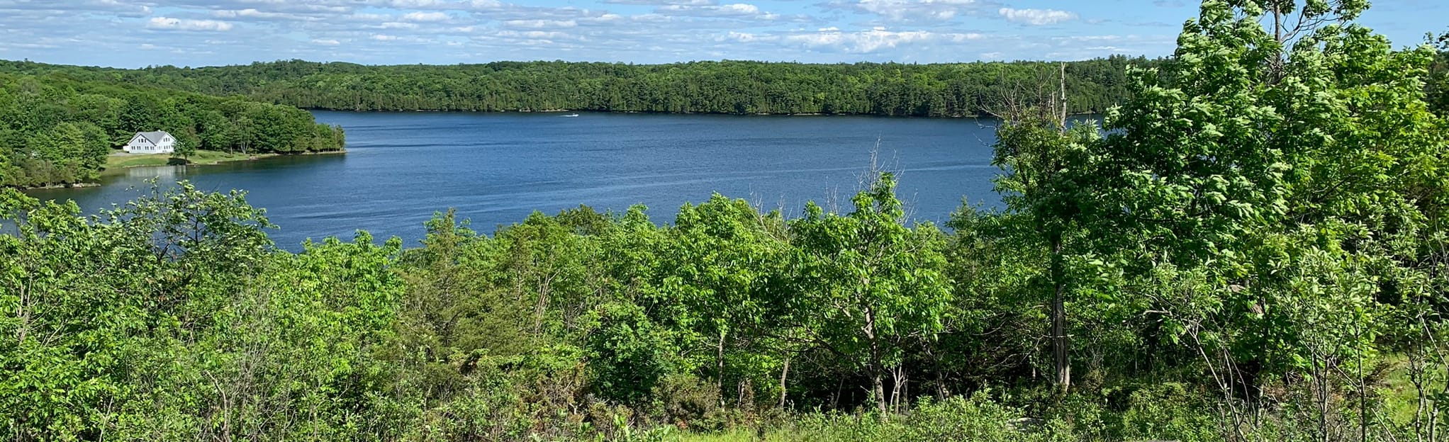Rideau to Ridgewalk Loop, Ontario, Canada - 131 Reviews, Map | AllTrails