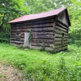 Cache River and Heron Pond State Natural Areas, Illinois - 133 Reviews ...