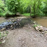 Cache River and Heron Pond State Natural Areas, Illinois - 133 Reviews ...