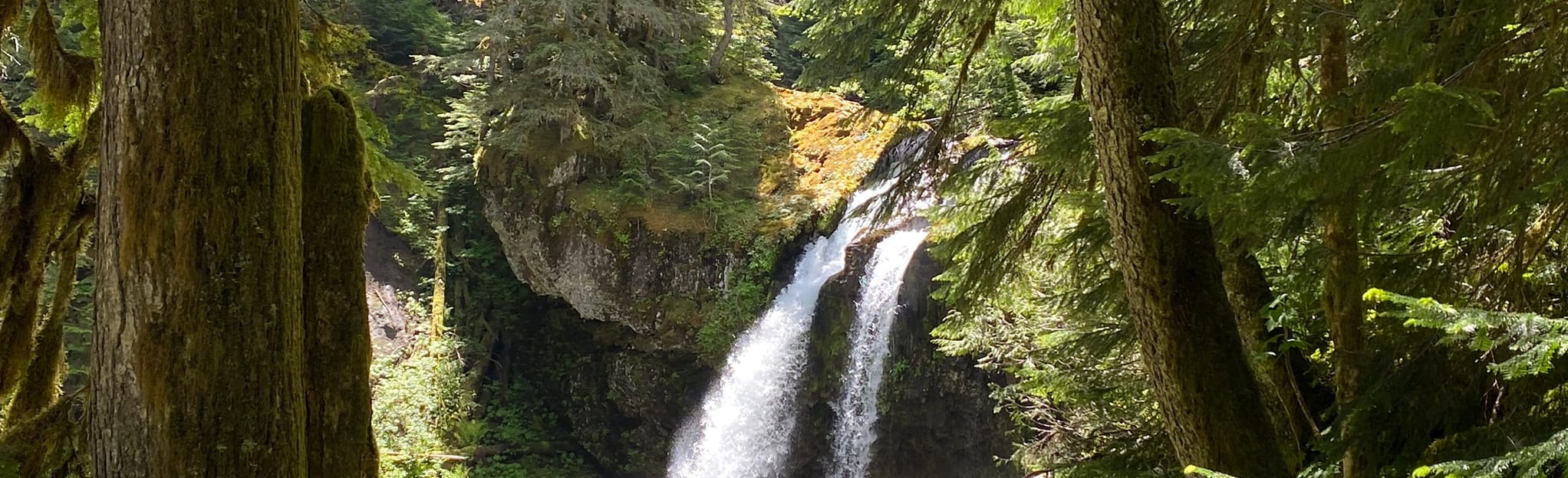 Iron Creek Falls Trail: 130 Fotos - Washington | AllTrails