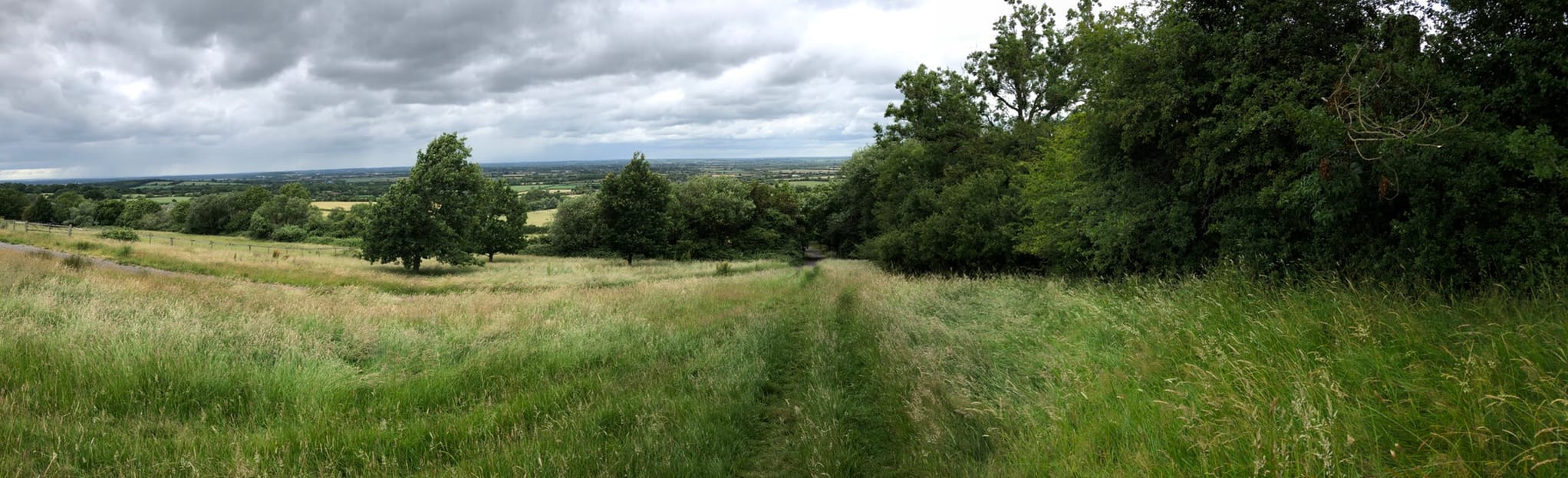 Piddington Woodland, Oxfordshire, England - 9 Reviews, Map | AllTrails