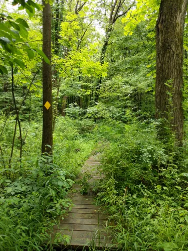Best Hikes and Trails in Morris Woods State Park | AllTrails