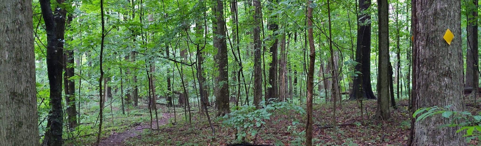 Morris Woods Homestead Trail to Abbott's Pond Trail: 22 fotos - Ohio ...