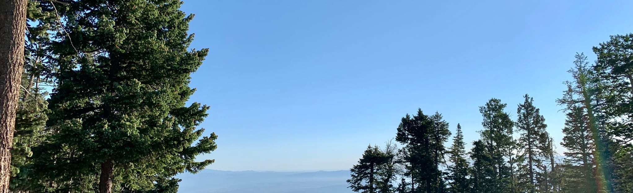 Sandia Crest Byway, New Mexico - 58 Reviews, Map | AllTrails