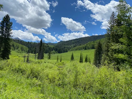 2023 Best 10 Trails and Hikes in Edwards | AllTrails
