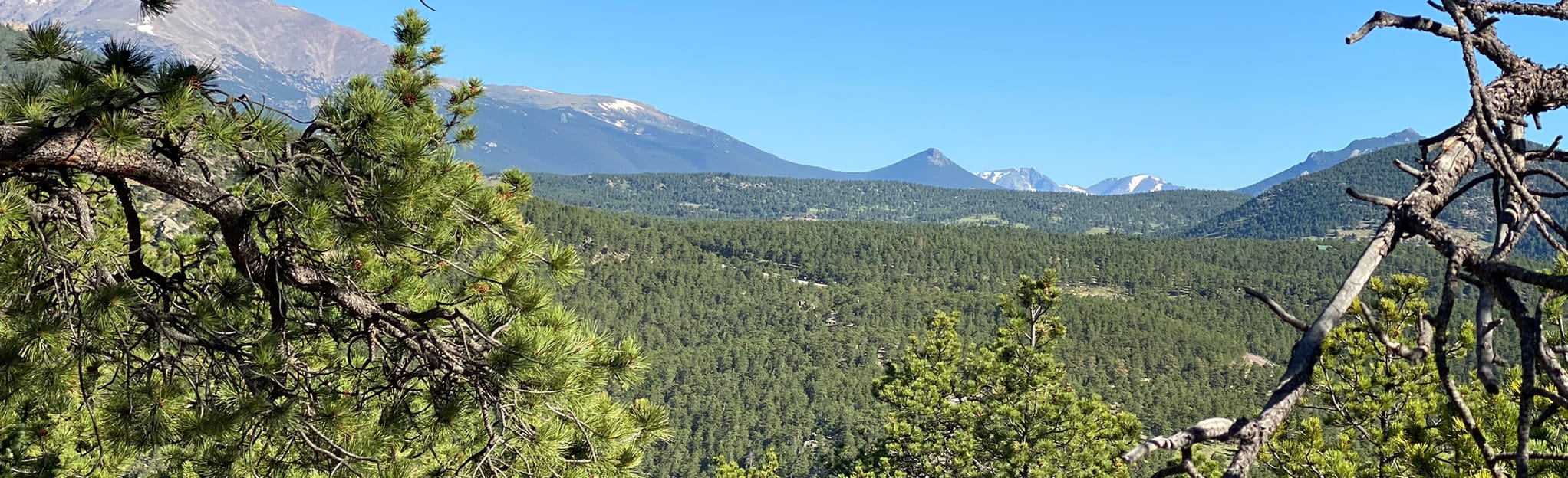 Miller Rock OHV Trail, Colorado - 69 Reviews, Map | AllTrails
