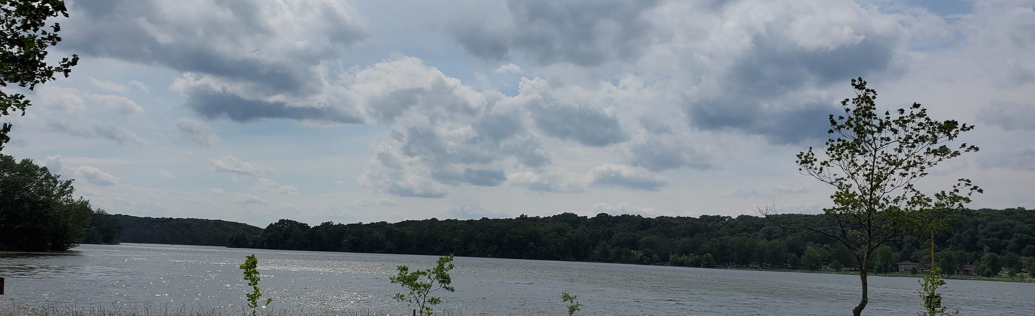 Oak, Pinchot, Old Farm, and Lakeside Trail Loop: 159 Reviews, Map ...