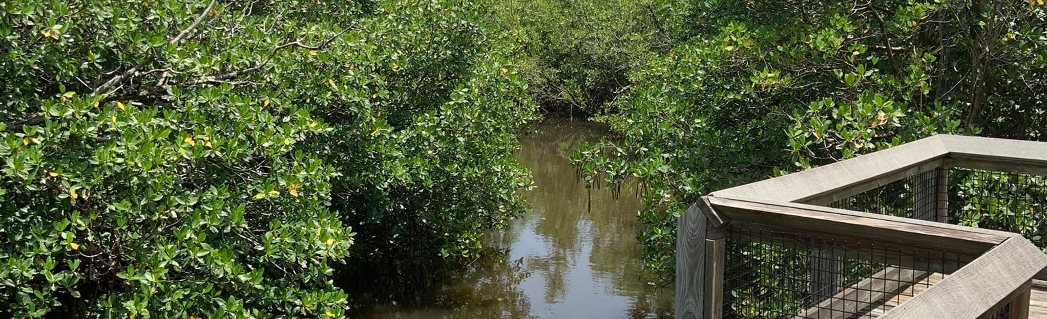 Saint Lucie Inlet Boardwalk Trail, Florida - 6 Reviews, Map | AllTrails