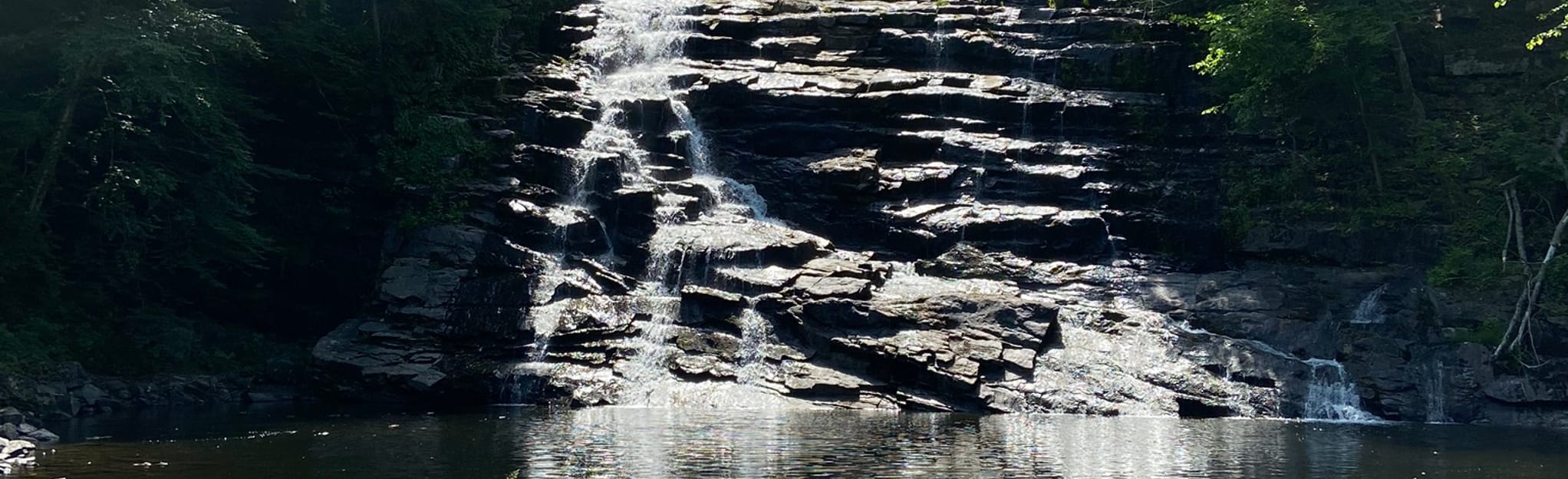 Barberville Falls Ridge Trail, New York - 461 Reviews, Map | AllTrails