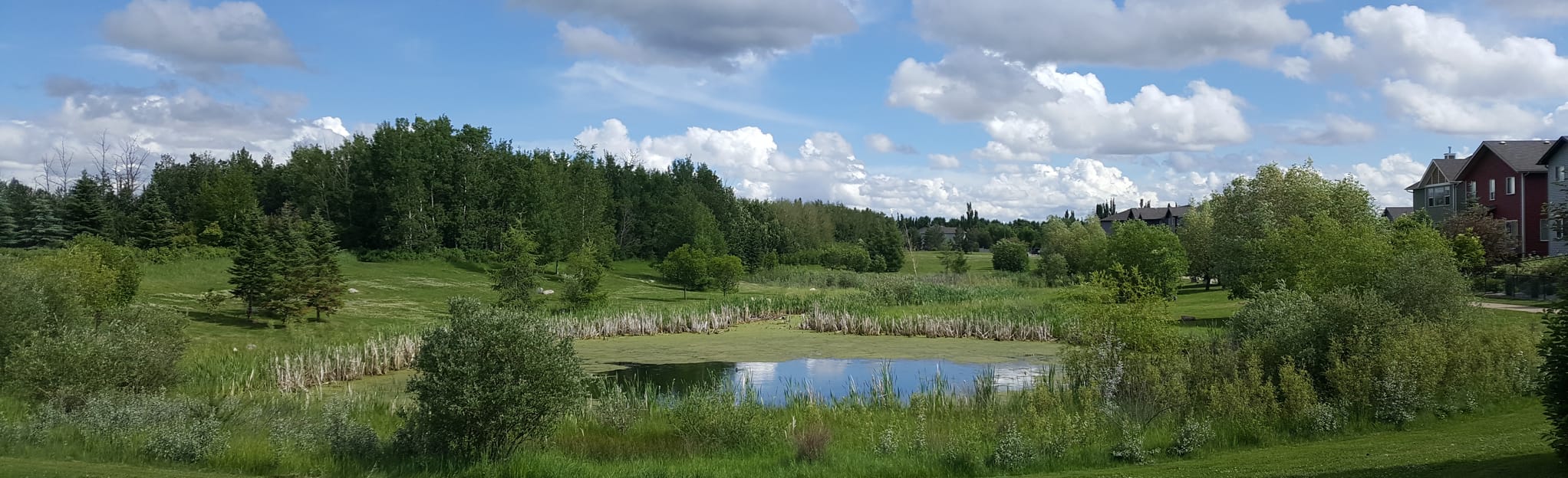 Erin Ridge Ravine - Ted Hole Park: 102 Reviews, Map - Alberta, Canada ...