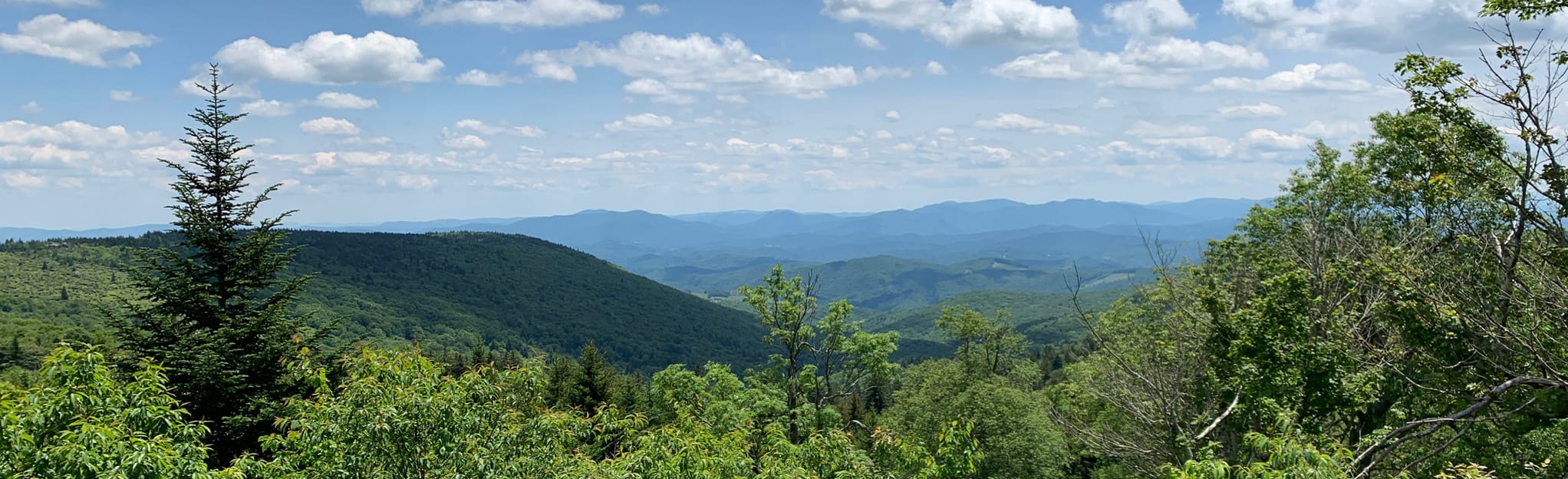 Mount Rogers Trail: 348 Reviews, Map - Virginia | AllTrails