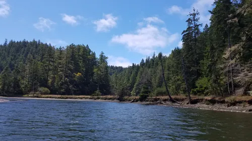 Best Hikes and Trails in Little River | AllTrails