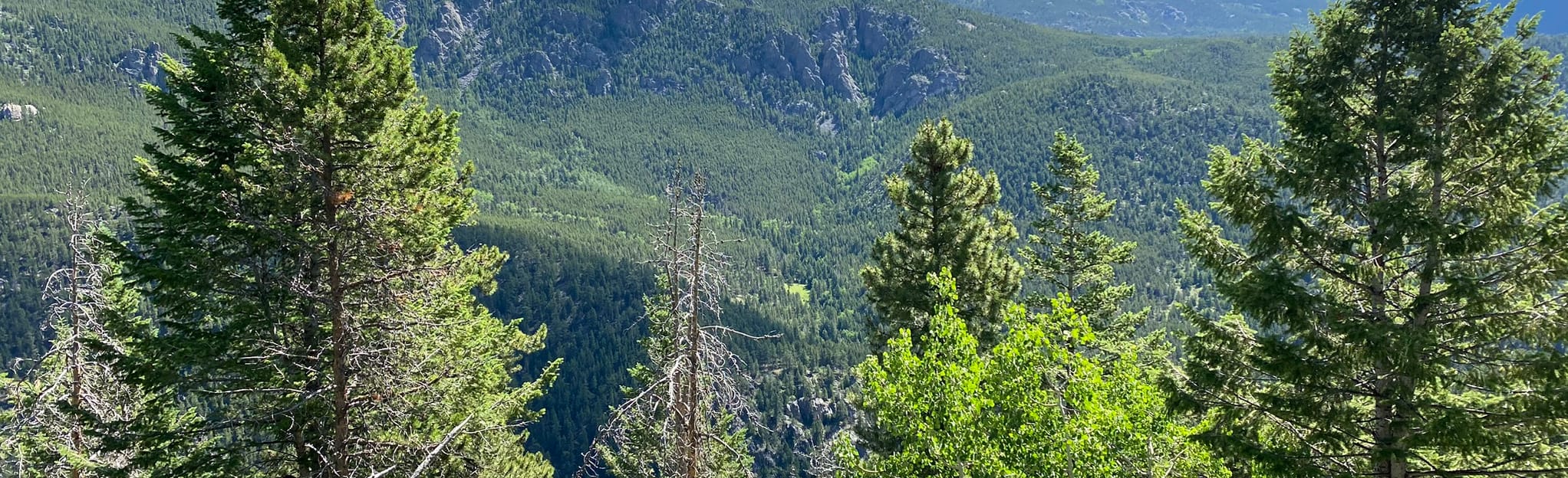 Miller Fork Trail via Bulwark Ridge Trail: 142 foto's - Colorado ...