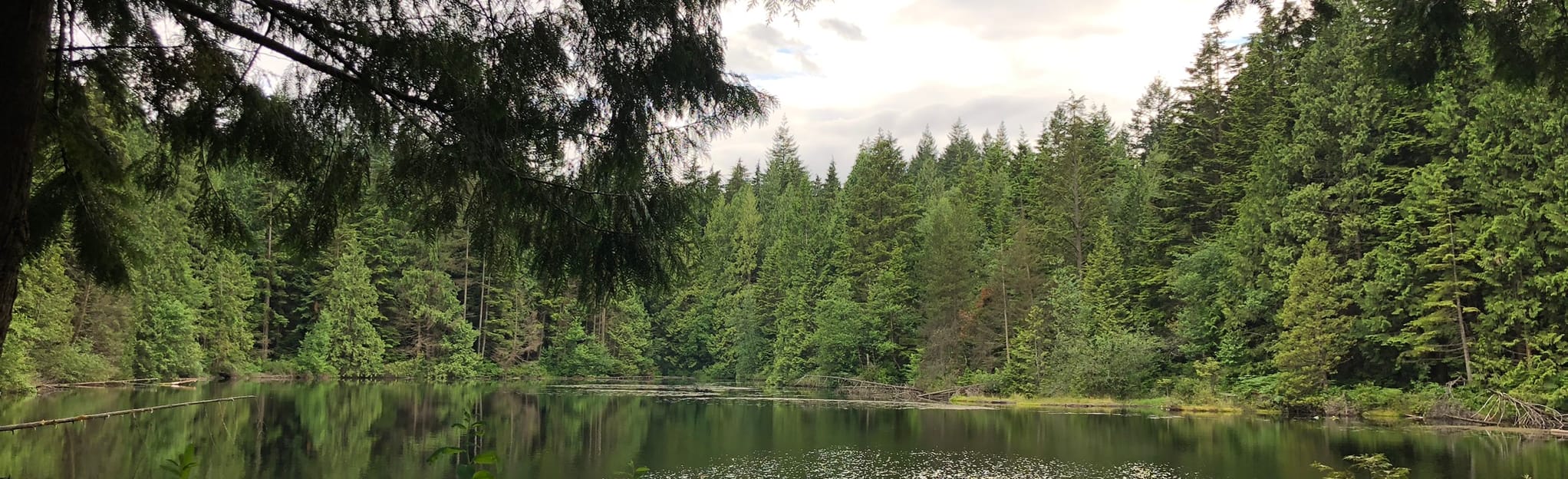 Mundy Lake and Nature Interpretive Trail Loop, British Columbia, Canada ...