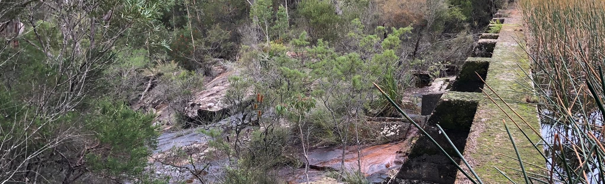 Goondera Dam Track, New South Wales, Australia - 9 Reviews, Map | AllTrails