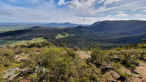 Best Hikes and Trails in Mount Cole State Forest | AllTrails