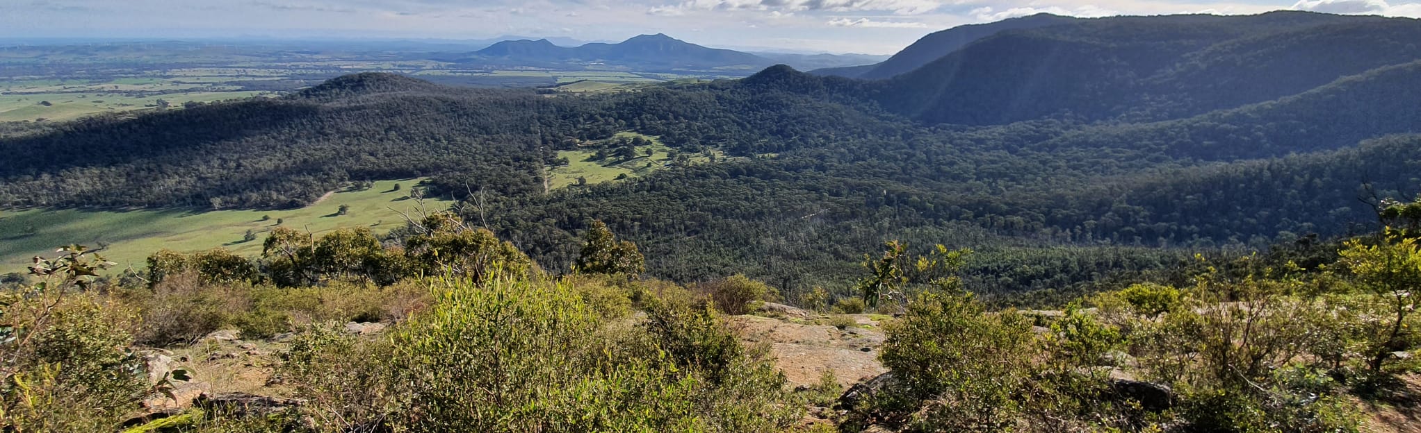 Beeripmo Walk and Mount Buangor Loop - Victoria, Australia | AllTrails