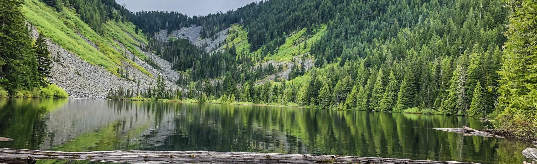 Talapus Lake Trail, Washington - 1,650 Reviews, Map | AllTrails