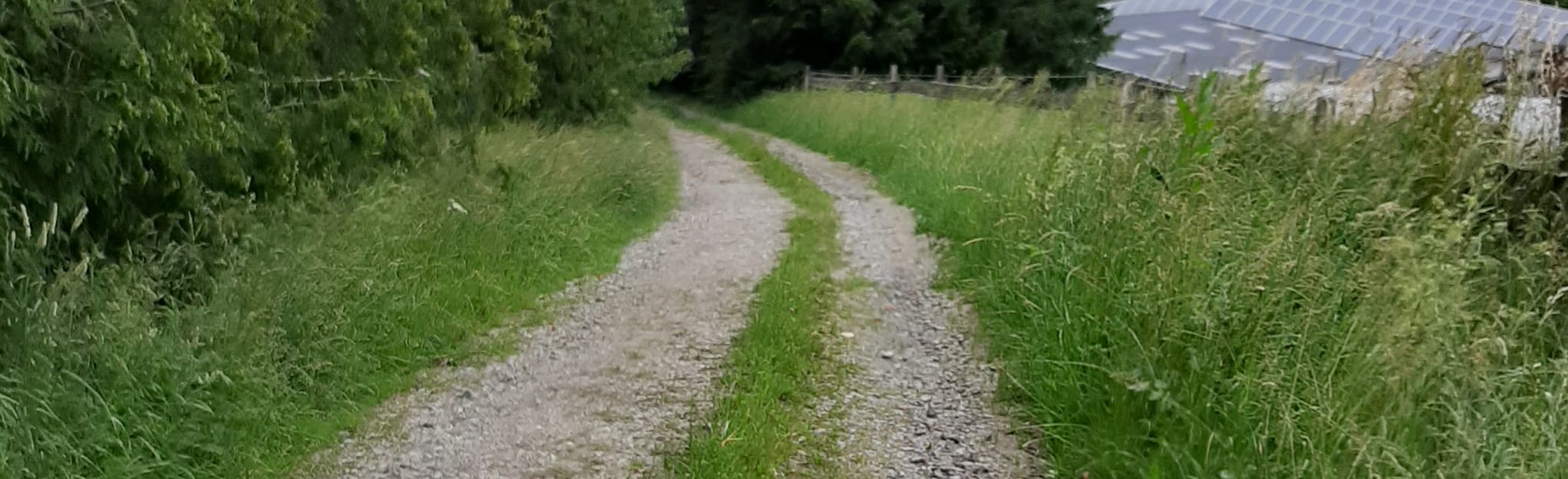 AllTrails | Kneipp WanderWeg Olsberg - Wasser, Wandern und Wohlfühlen ...