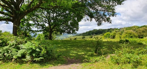 2023 Best 10 Walking Trails in Surrey Hills Area of Outstanding Natural ...