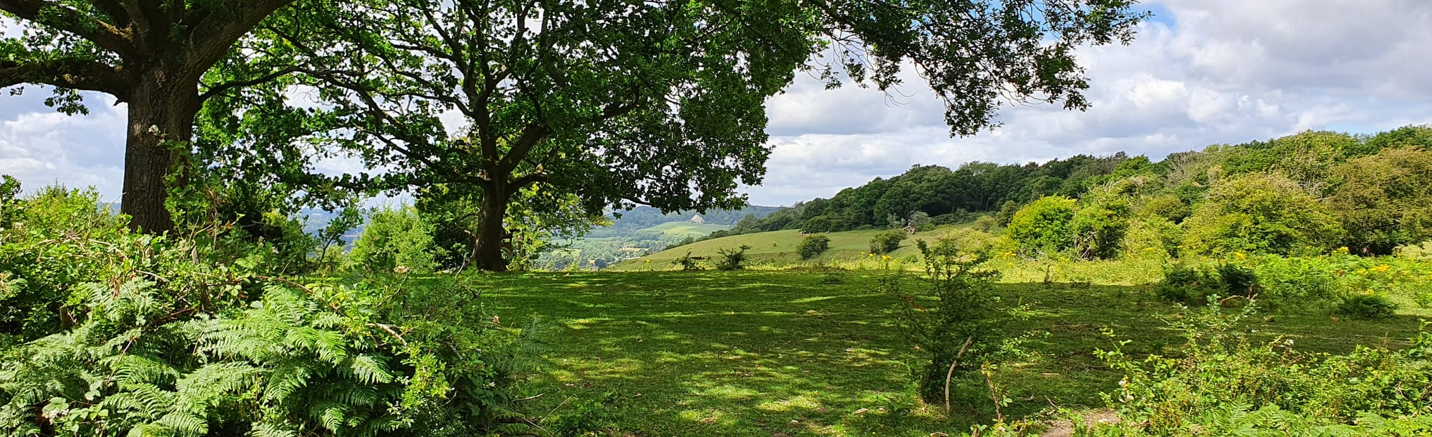 Colley Hill and Reigate Hill, Surrey, England - 189 Reviews, Map ...