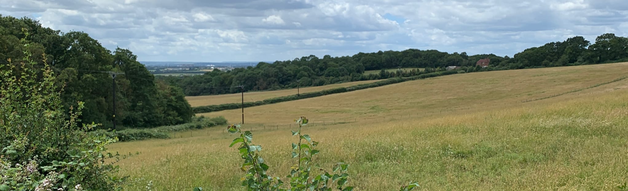 One Tree Hill to Langdon Loop: 89 foto's - Essex, Engeland | AllTrails