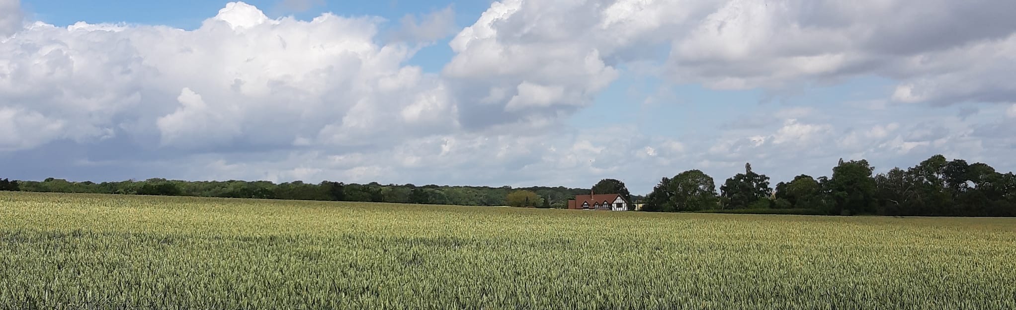 Old Warden Circular, Bedfordshire, England - 54 Reviews, Map | AllTrails