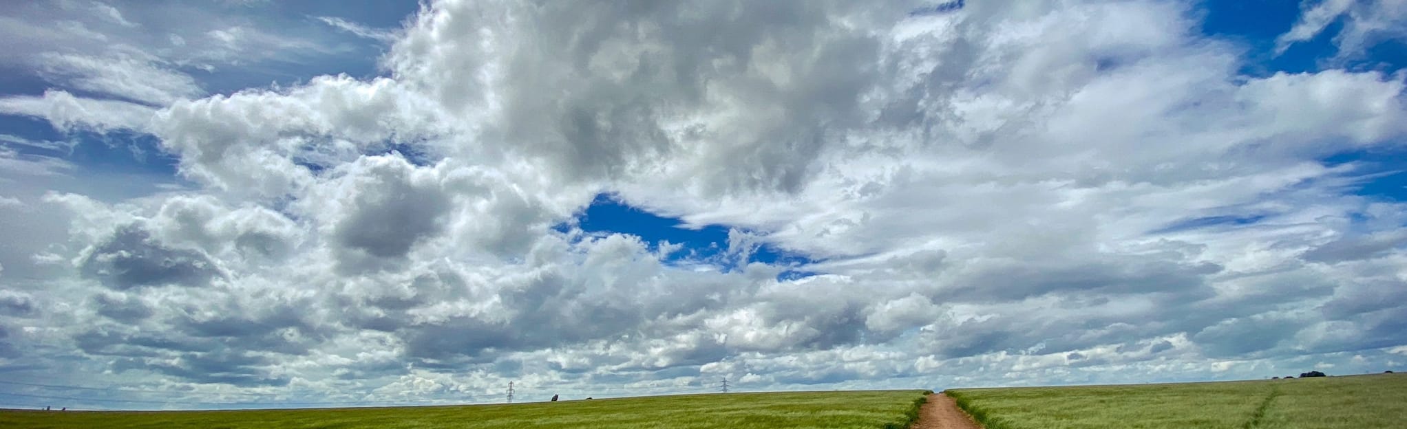 Oxclose Wood Circular: 37 Reviews, Map - Nottinghamshire, England ...