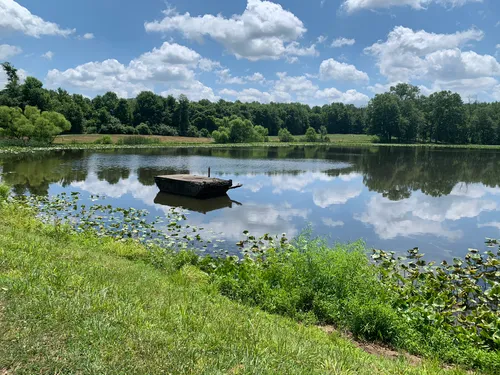 Best Hikes and Trails in Mercer Meadows | AllTrails