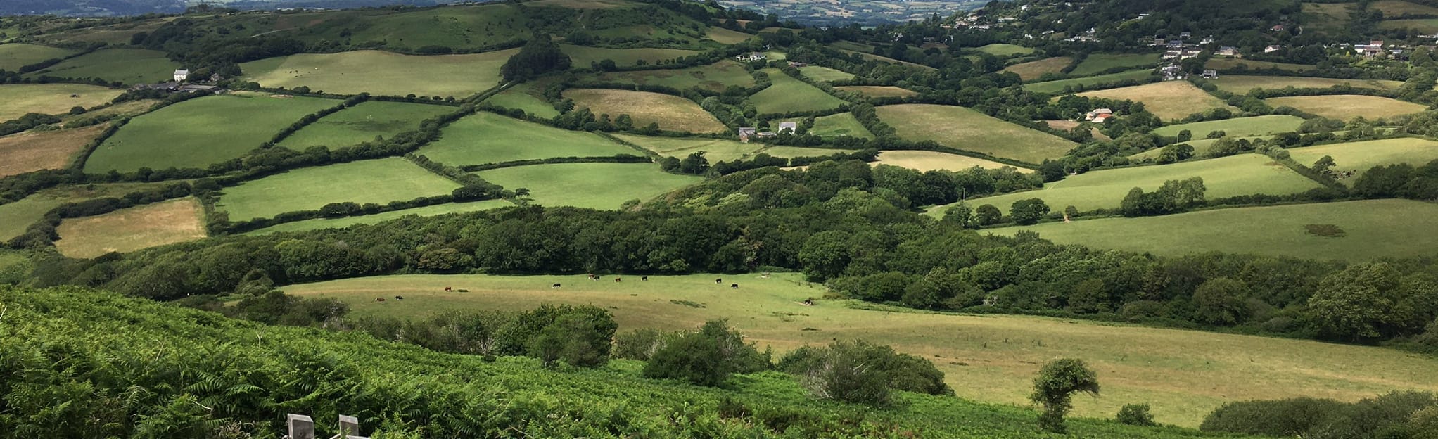 Symondsbury, Morcombelake and Coast, Dorset, England - 15 Reviews, Map ...