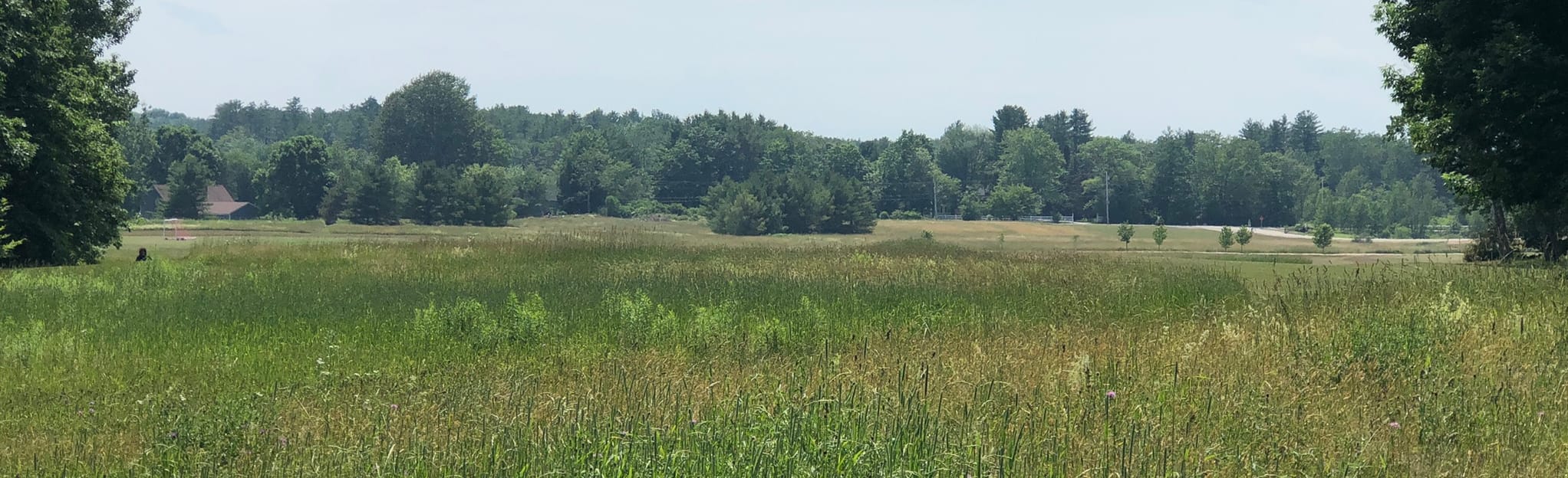 Twin Brook Recreation Area Loop: 96 Reviews, Map - Maine | AllTrails