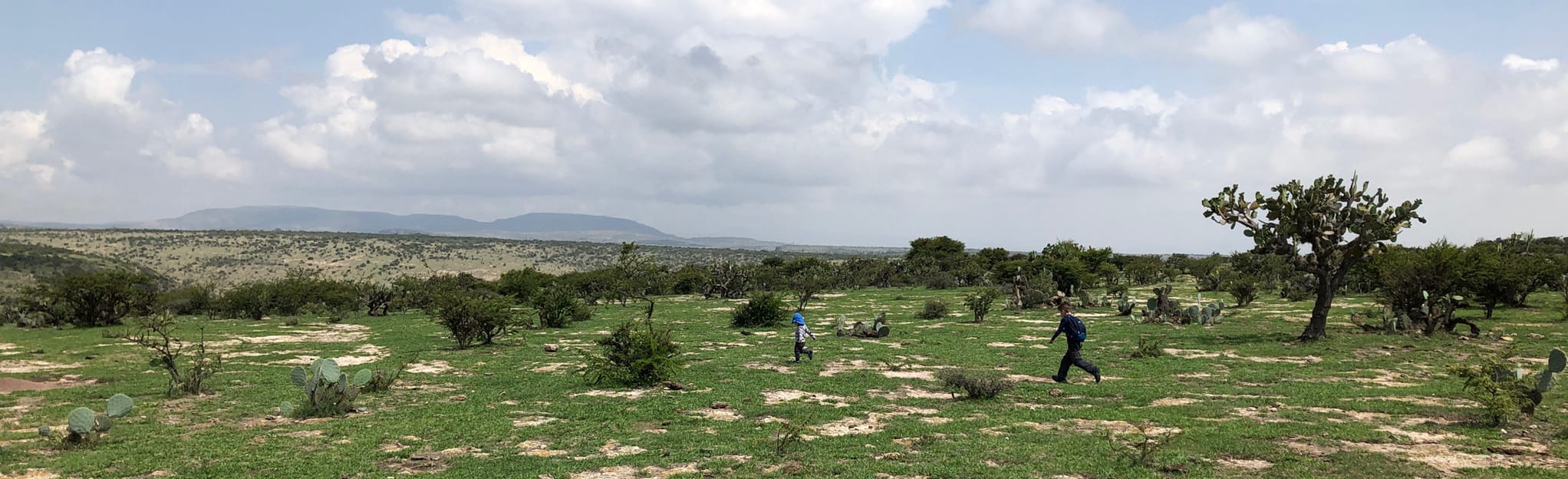 Circuito La Angostura, Guanajuato, Mexico - 2 Reviews, Map | AllTrails