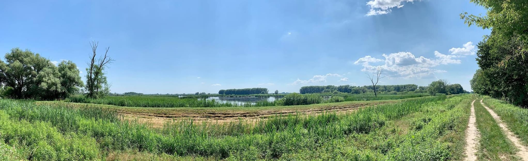 Balatonfenyves - Keszthely, Somogy, Hungary - Map, Guide | AllTrails