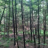 Chuck Keiper Trail: East Loop, Pennsylvania - 36 Reviews, Map | AllTrails