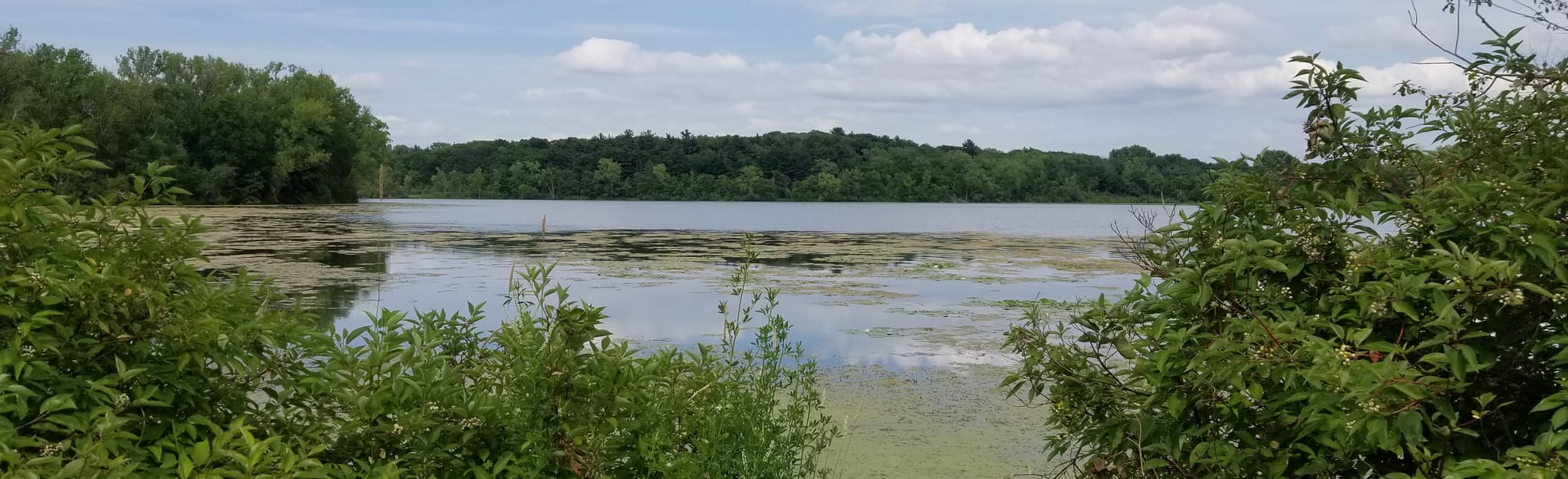Sucker Lake Loop, Minnesota - 478 Reviews, Map | AllTrails
