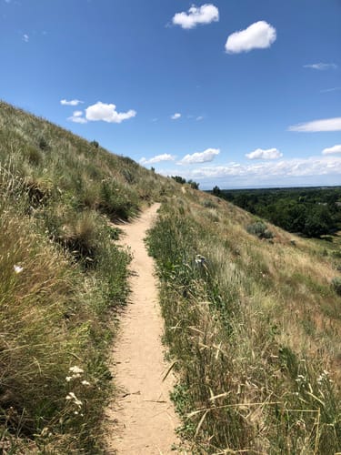 Best Hikes and Trails in Hillside to Hollow Reserve | AllTrails