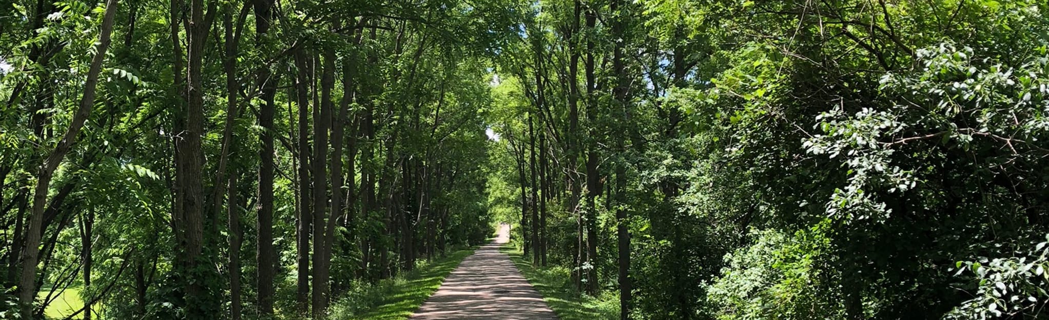 Grand Trunk Trail: 145 Reviews, Map - Ontario, Canada | AllTrails